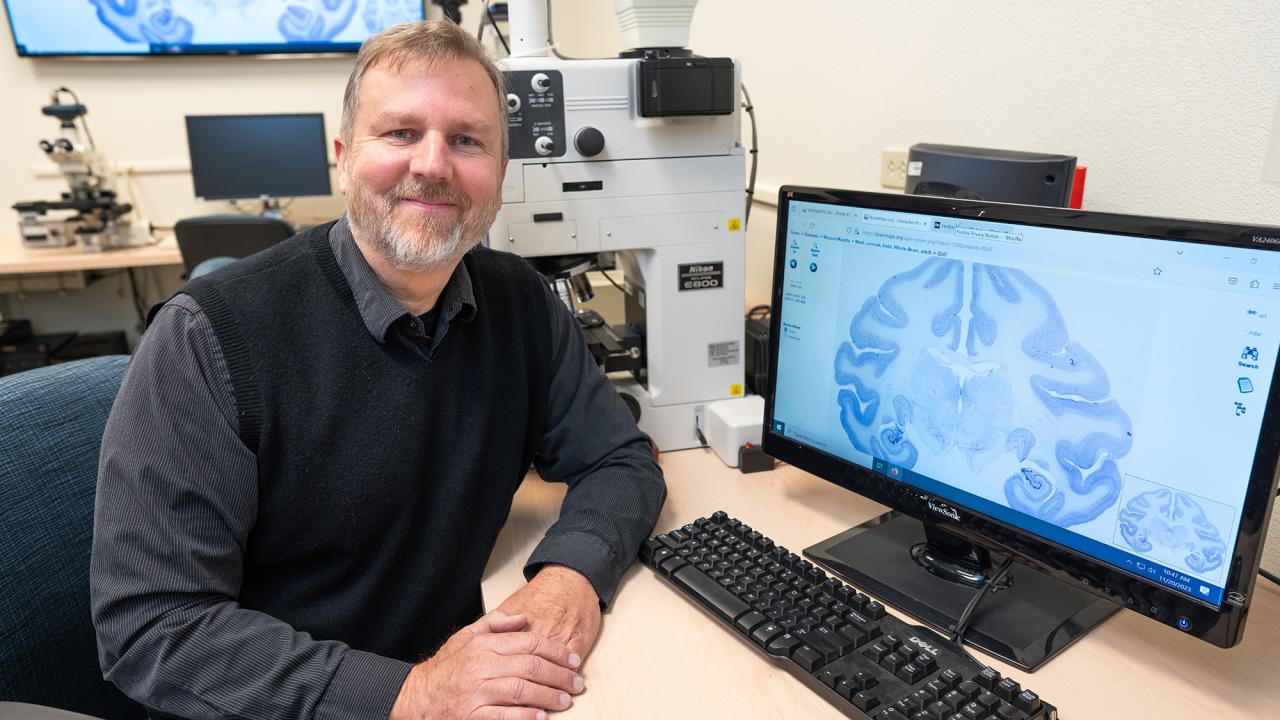 $15 Million Grant Will Support Study on the Role of the Thalamus in ...
