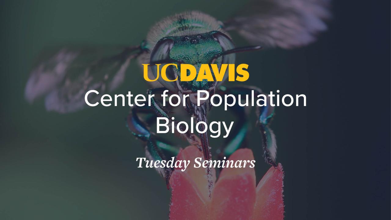 CPB Tuesday Seminar: Kenzie Pollard | College of Biological Sciences